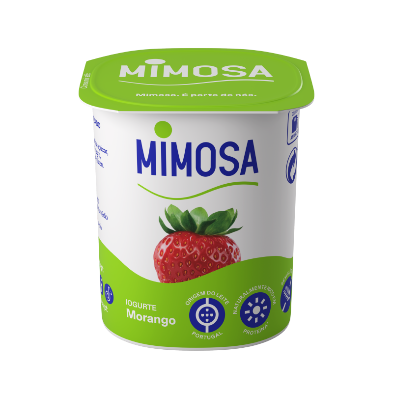 Iogurtes Sólidos de Aromas | Mimosa